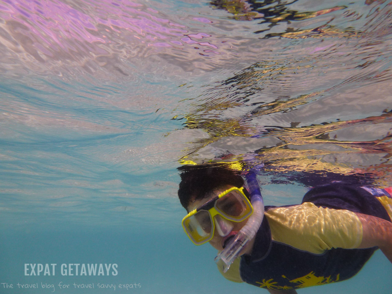 Snorkelling the Great Barrier Reef