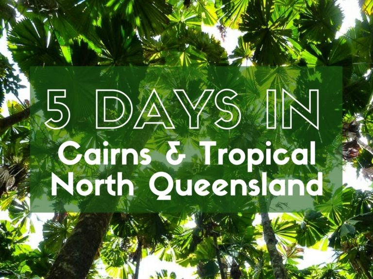 5 Days in Cairns and Tropical North Queensland with Expat Getaways